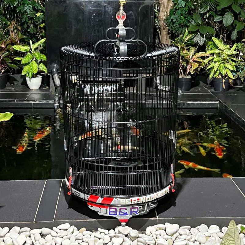 Jual Sangkar Kandang Murai BnR PVC B&R Decal Terbaru 2023 | Shopee ...