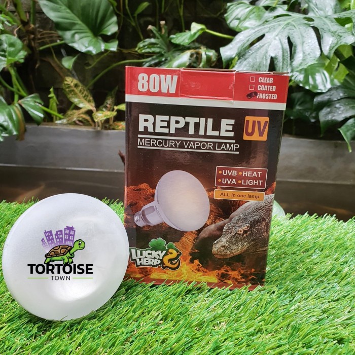 Jual Haruka - LAMPU UVA UVB MERCURY VAPOR LAMP 80W LUCKY HERP MIRIP SOLAR GLO 2635 | Shopee ...