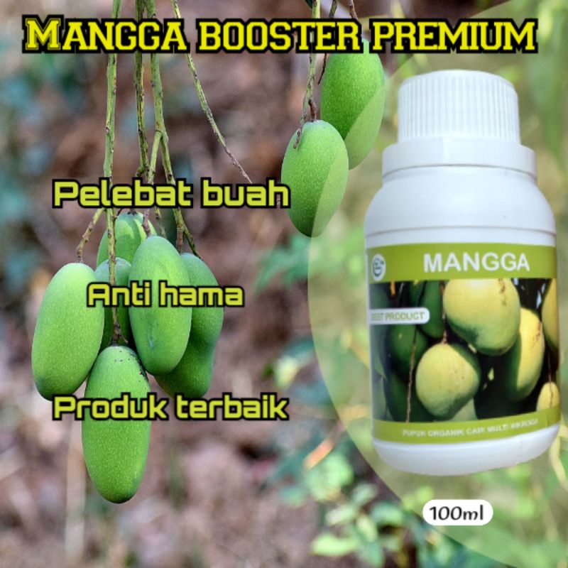 Jual Pupuk Organik Cair Mangga Agar Cepat Berbuah Lebat Ampuh Pupuk Semprot Pelebat Buah Pemicu ...