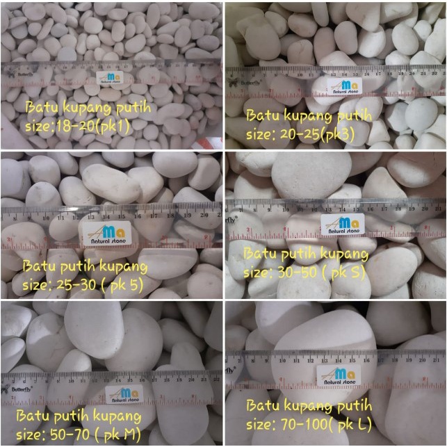 Jual Batu Alam Putih Koral Putih Kupang batu taman hiasan tanaman pot dekorasi aquarium | Shopee ...