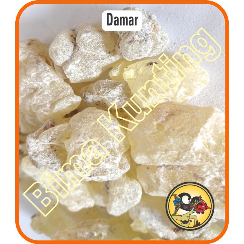 Jual GETAH DAMAR Per 1Kg | Shopee Indonesia