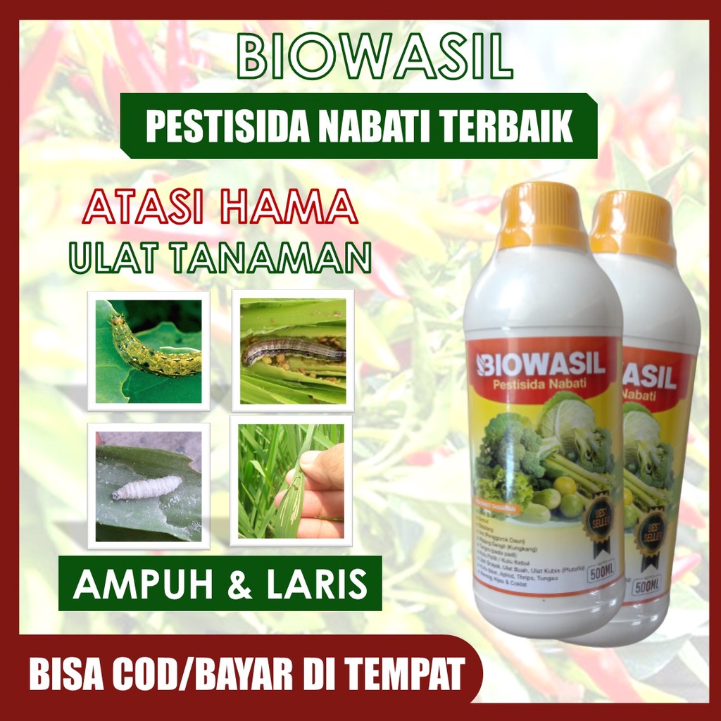 Jual (PROMO MURAH) Biowasil 500 ML Obat Untuk membasmi hama Ulat Cabe ...