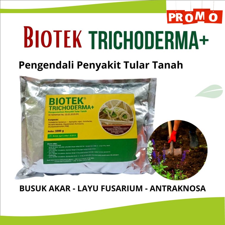 Jual BIOTEK TRICHODERMA 1 KG Pencegah Layu Fusarium, Bio Fungisida ...