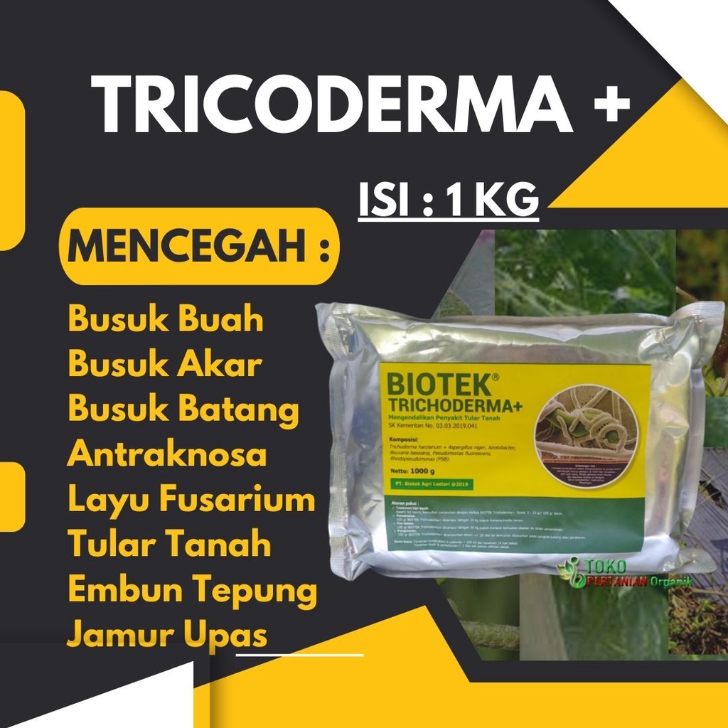 Jual Biotek Trichoderma+ 1 Kg Pengendali Layu Fusarium pada Cabe, Pupuk ...