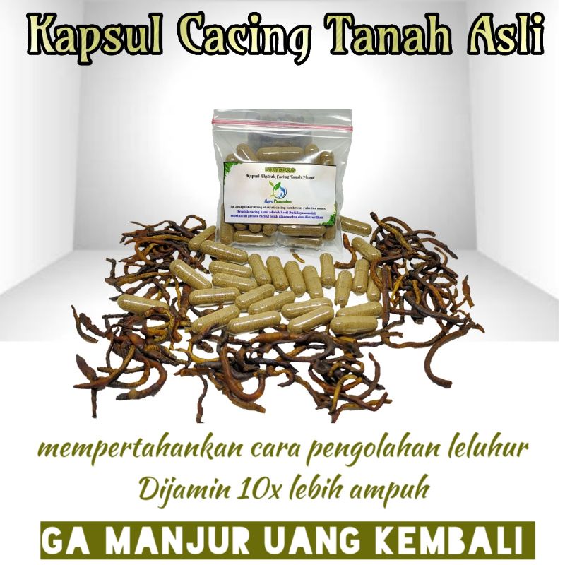 Jual kapsul cacing obat tipes / demam /stroke / pil cacing / cacing ...
