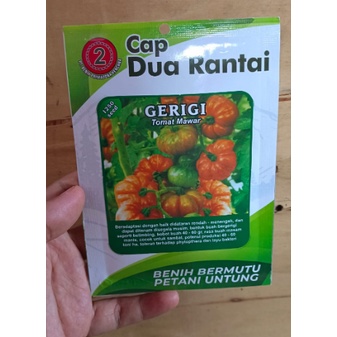 Jual Benih Tomat Mawar Gerigi 1250 Biji Kemasan Original Cap Dua Rantai ...