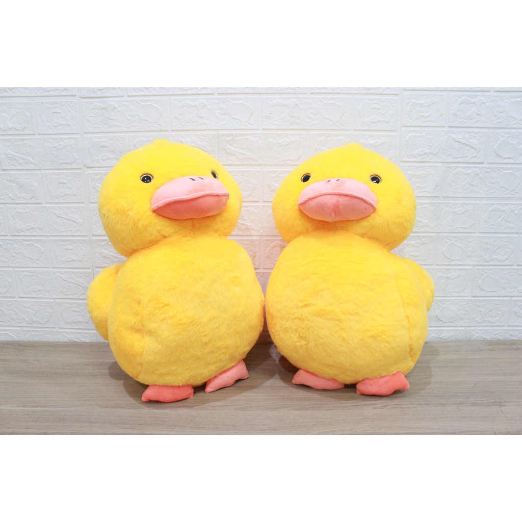 Jual Boneka Duck Piyo-Piyo Ukuran XL | Shopee Indonesia