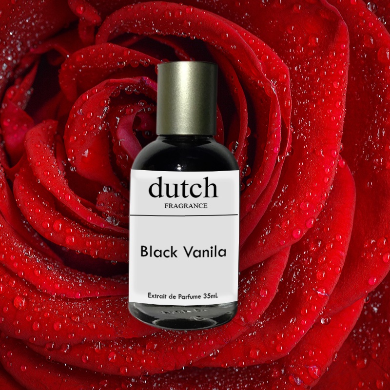Jual dutch Parfum Black Vanilla Premium 35mL Tahan 8 Jam UNISEX Eau de ...