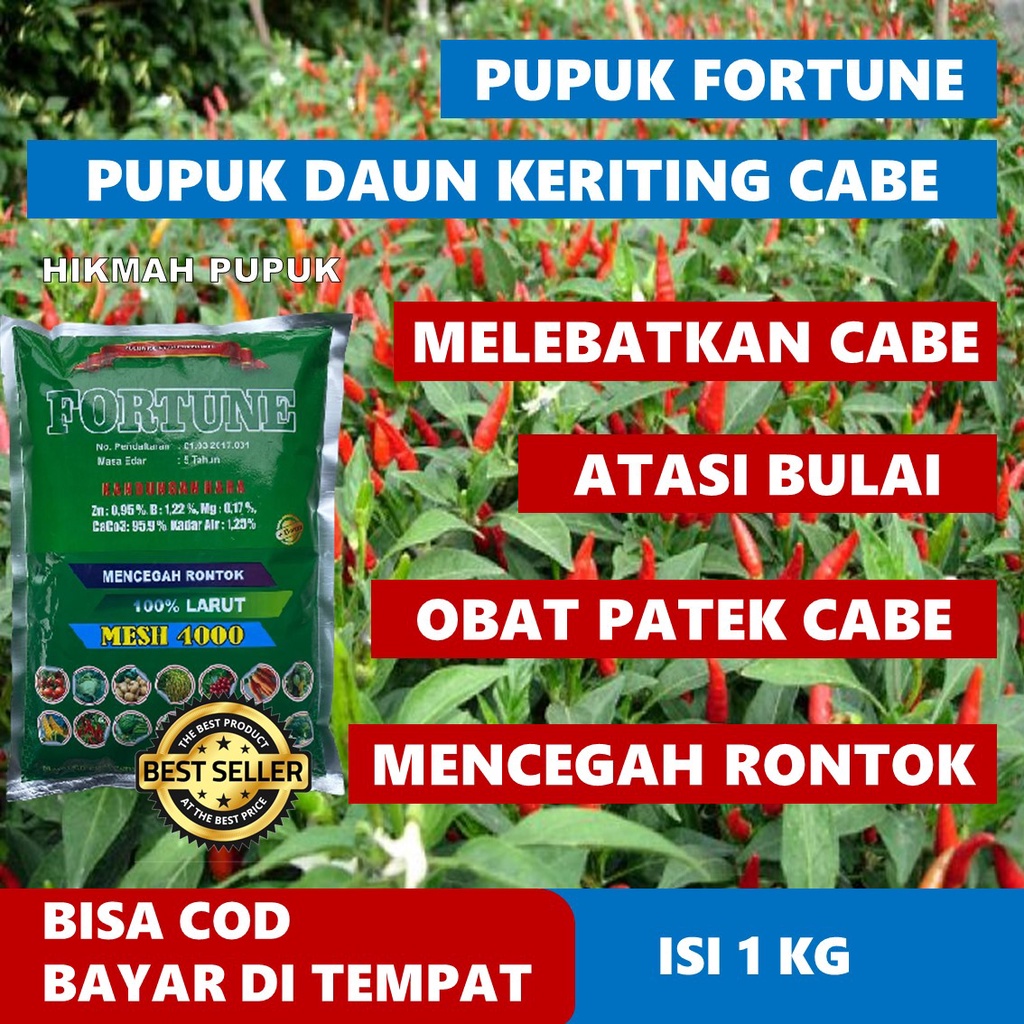 Jual Pupuk Majemuk Cair Organik Cabe PUPUK KALSIUM Tepung CABE TERBAIK FORTUNE - Pupuk Cabe ...
