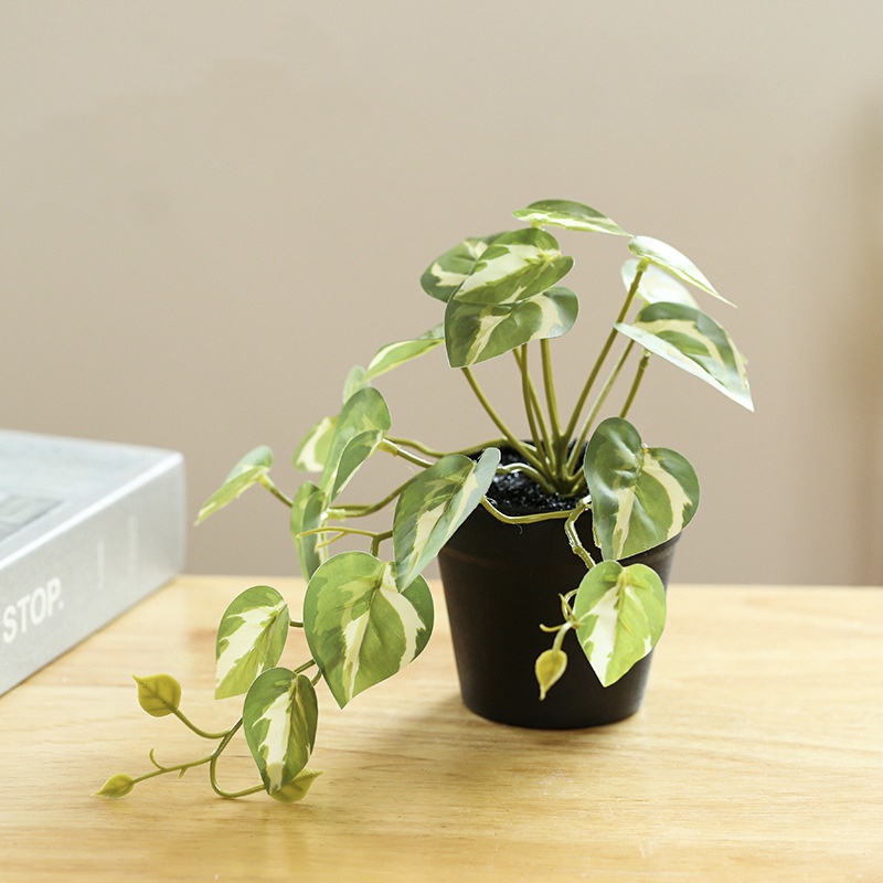 Jual TANAMAN ARTIFICIAL TANAMAN HIAS IMITASI DAUN SIRIH GADING SET POT ...