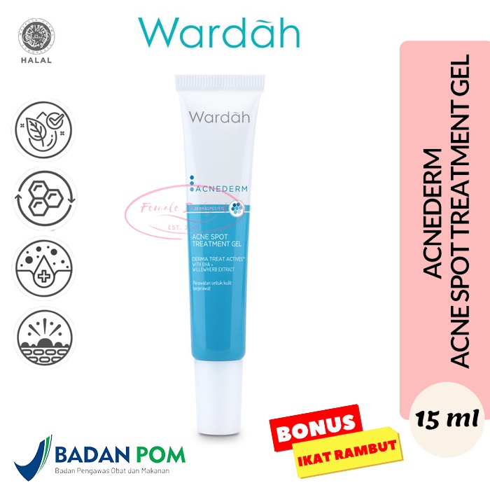 Jual WARDAH Acnederm Acne Spot Treatment Gel 15ml | Shopee Indonesia