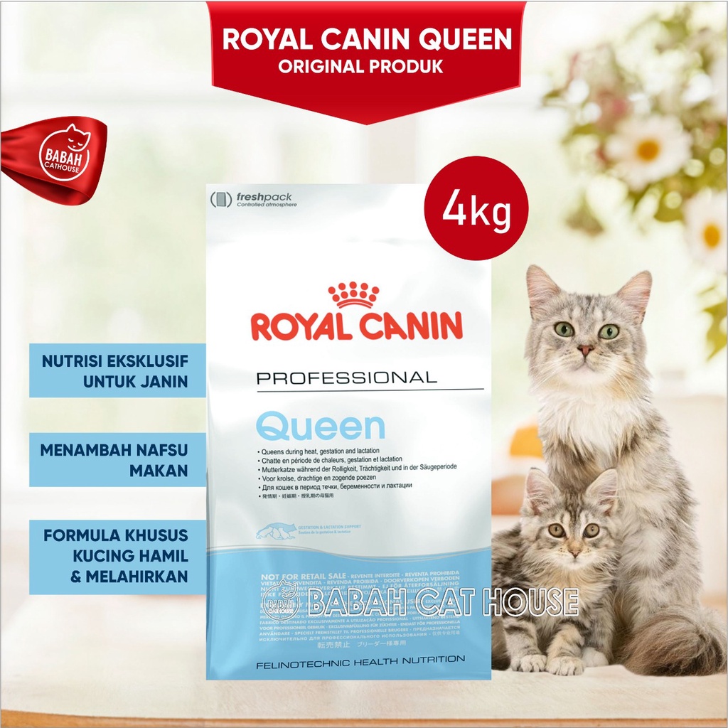 Jual Royal Canin PRO QUEEN 4KG Makanan Kucing Hamil Menyusui Pasca ...