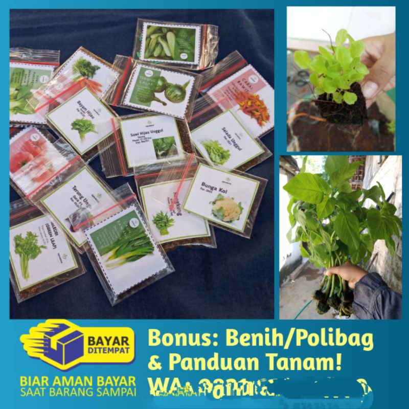 Jual Paket Benih Sayur 10 Jenis + Bonus Benih & Polibag Pembibitan ...