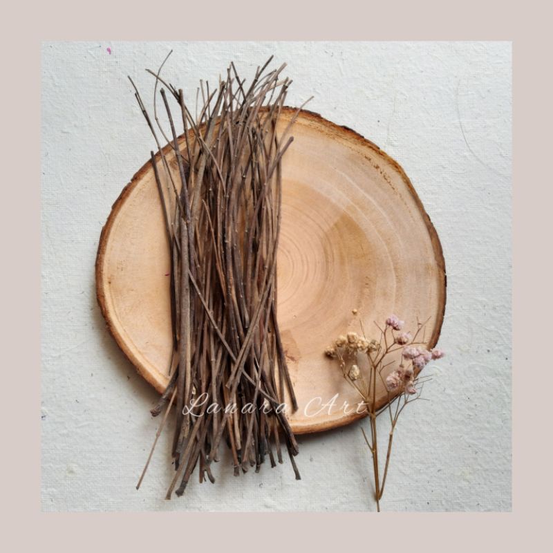 Jual Ranting kering halus pohon kayu dekorasi mahar craft kerajinan ...