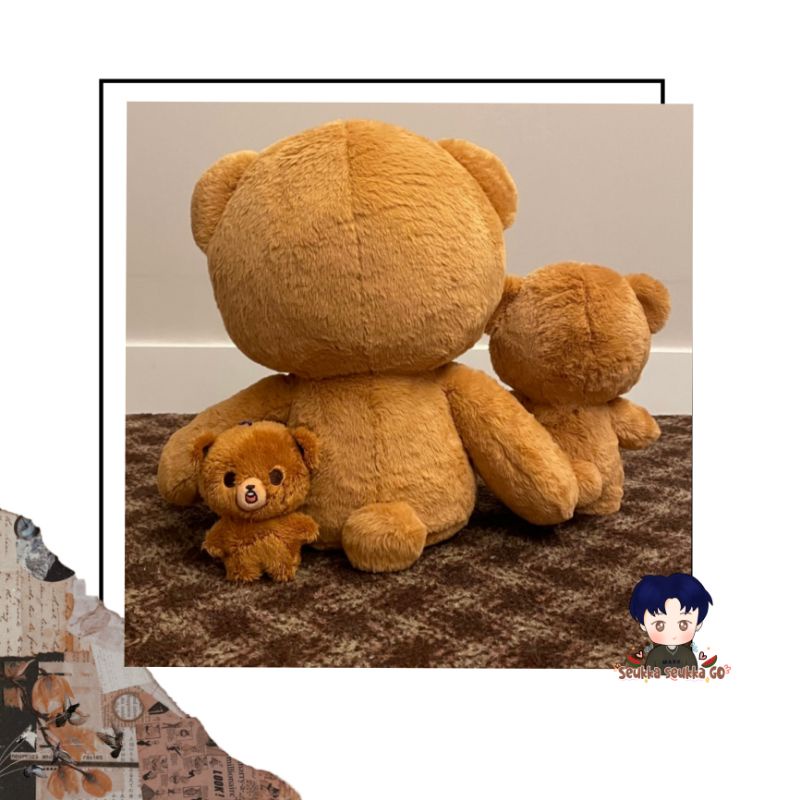 Jual [DP] PRE-ORDER GOMDO LEE NCT HAECHAN DOLL | Shopee Indonesia