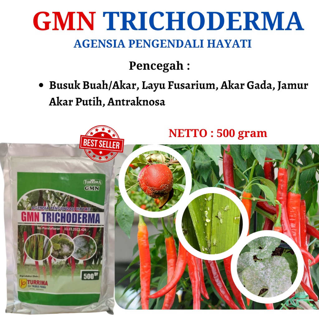 Jual TERLARIS Pupuk Fungisida Hayati Trichoderma 500Gram, Pencegah ...
