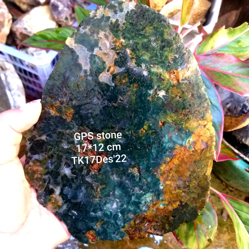 Jual PROMO LEMPENGAN BADAR LUMUT AKIK SUPER / LEMPENGAN SUPER KRISTAL ...