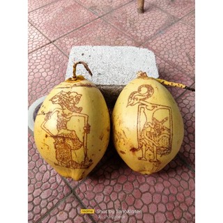 Jual Kelapa cengkir gading mitoni/tingkepan satu set isi 2 kelapa ...