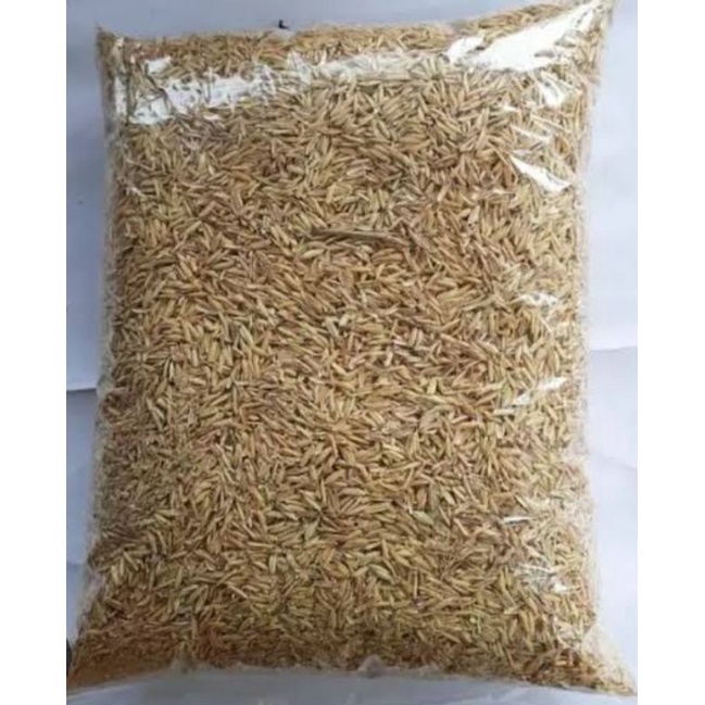 Jual sekam padi kering 1 kg | Shopee Indonesia