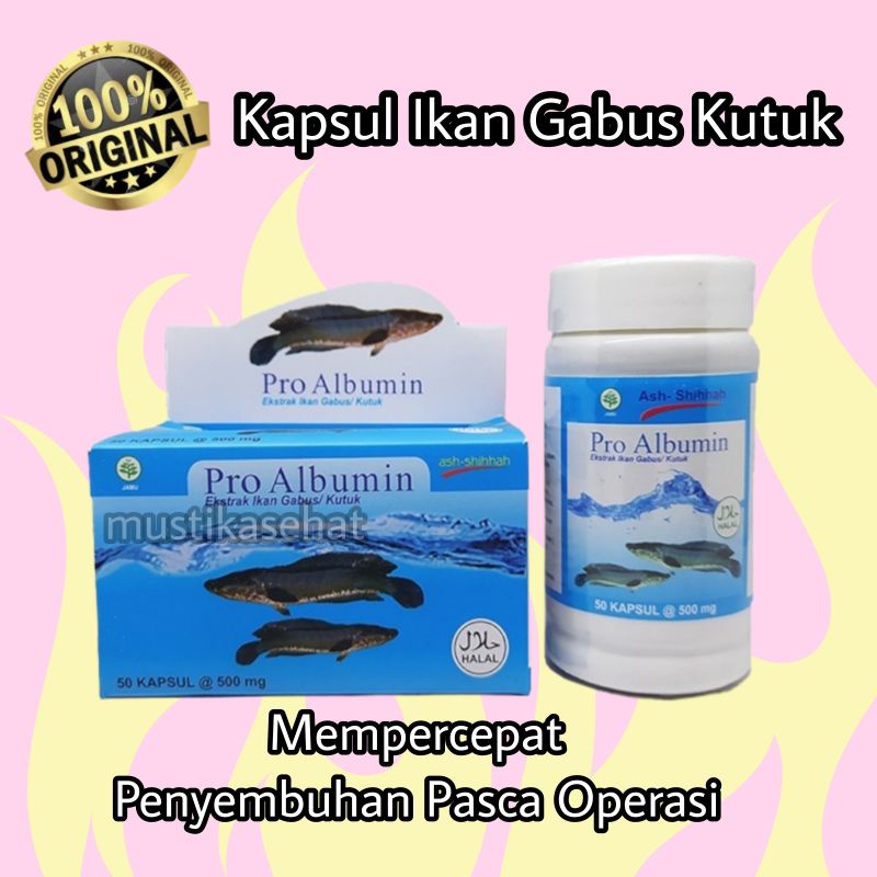 Jual Kapsul Ikan Gabus Kutuk Pasca Operasi Sesar Caesar | Shopee Indonesia