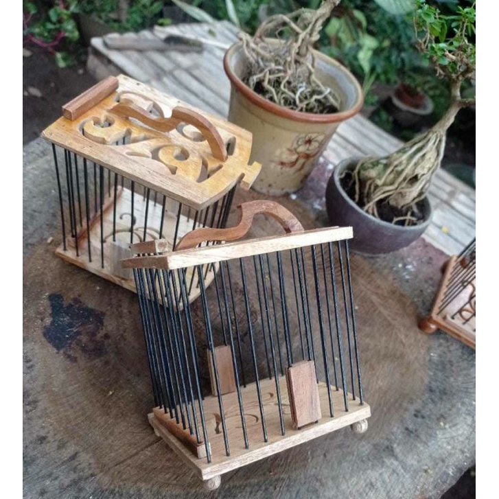 Jual SANGKAR UNTULAN KONIN | Shopee Indonesia