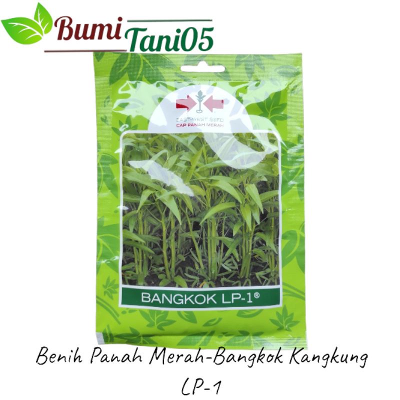 Jual Benih Panah Merah-Kangkung Bangkok LP-1 1.500 Butir | Shopee Indonesia