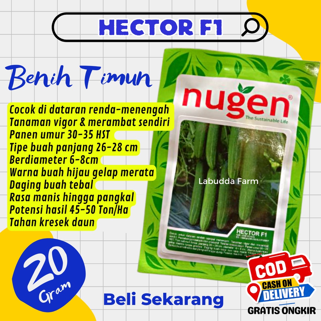 Jual Benih Timun Nugen Hector F1 - Benih Timun Hibrida - Benih Timun ...