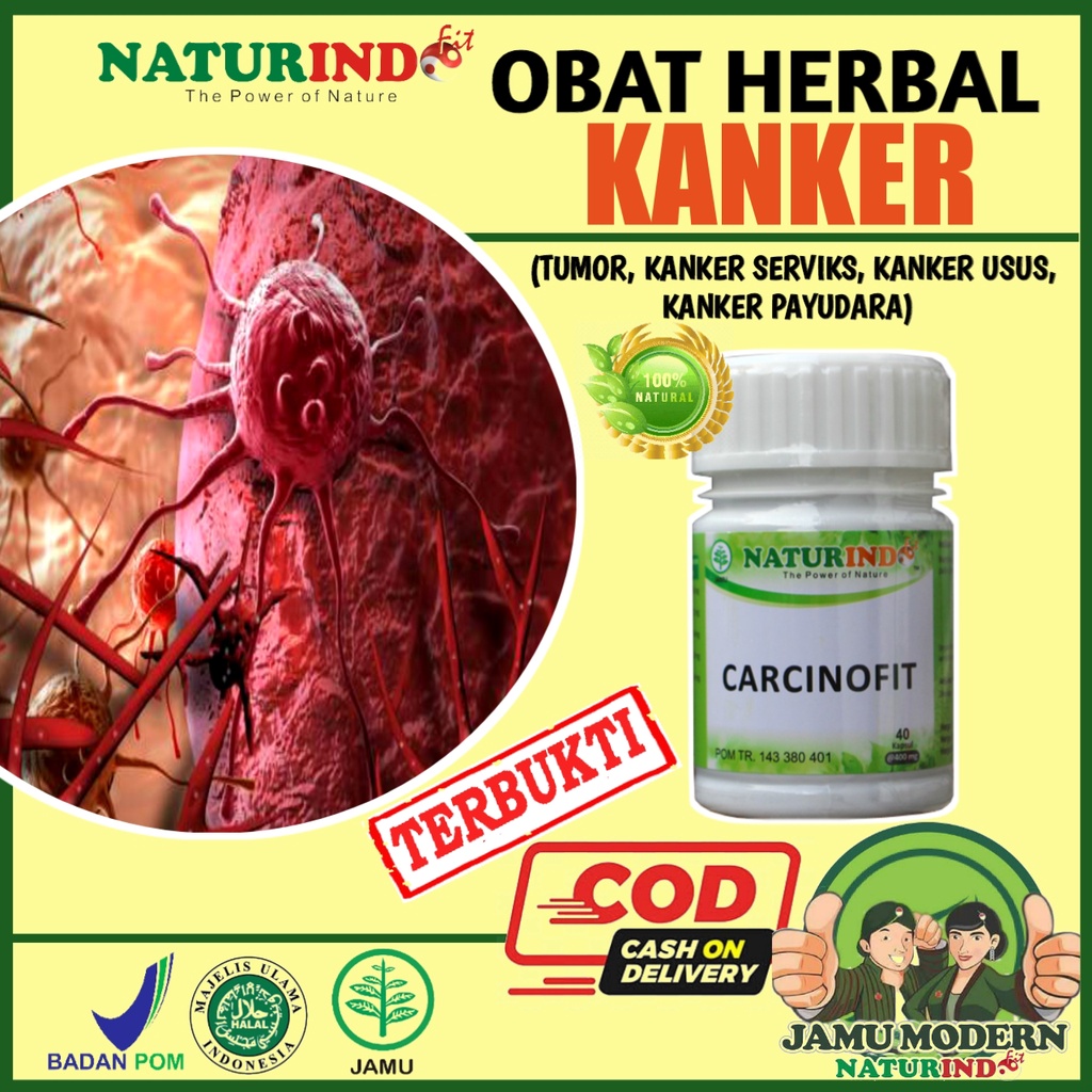 Jual Obat Herbal Kanker Cancer Kangker Payudara Servik Hati Paru paru ...
