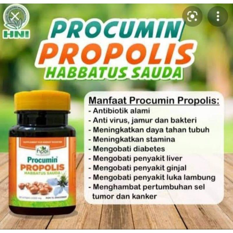 Jual procumin propolis hni / anti virus, jamur / cegah tumor dan kanker ...