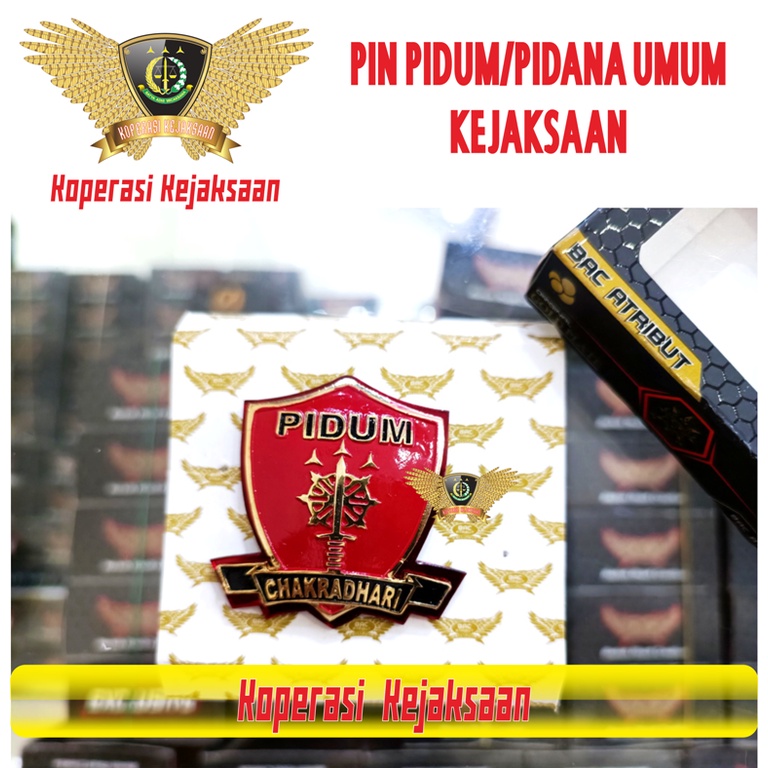 Jual PIN PIDUM TERBARU KEJAKSAAN | PIDANA UMUM | Shopee Indonesia