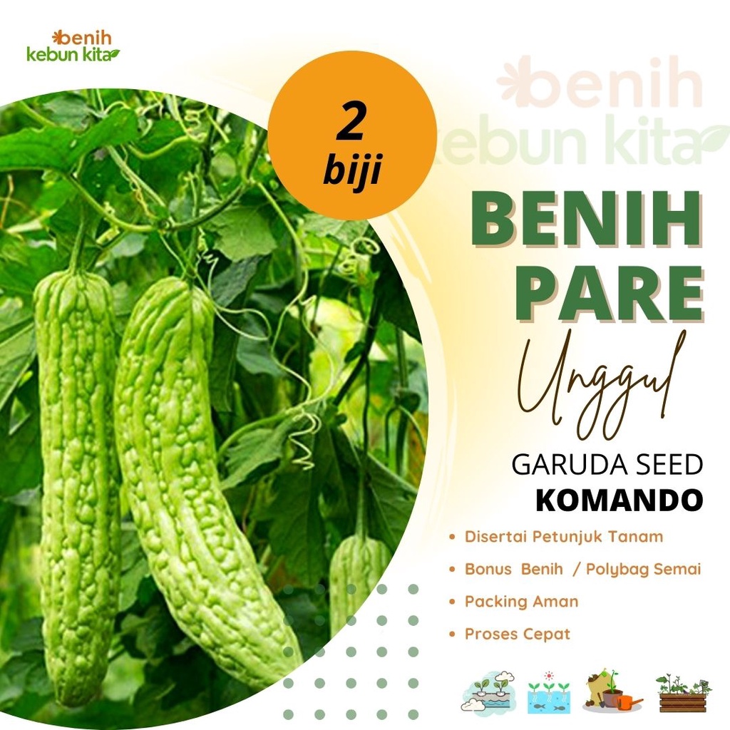 Jual Benih Bibit Pare Hibrida Tipe Besar Sayuran Paria F1 Komando ...