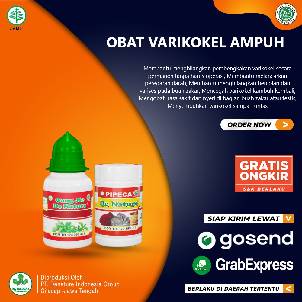Jual Obat Varikokel Hidrokel di Buah Zakar Bengkak Testis Besar Pria ...