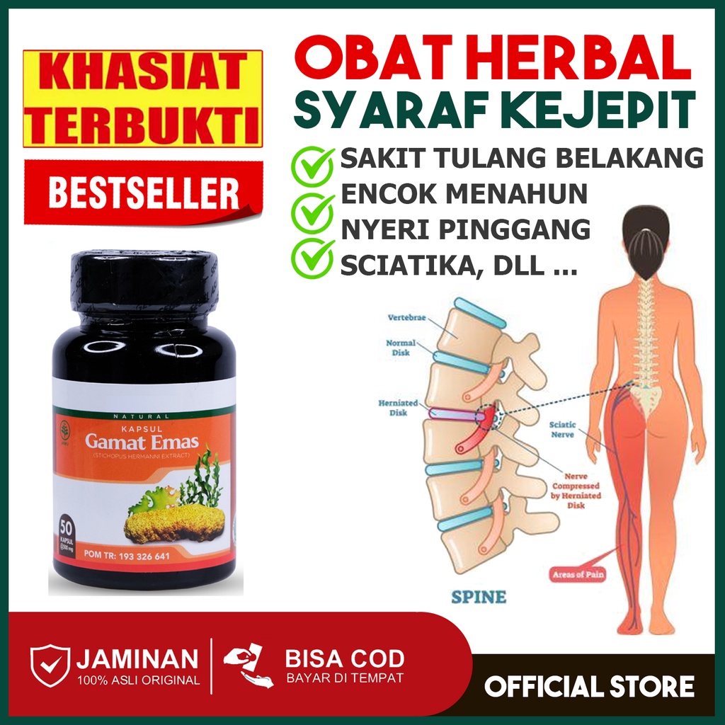 Jual Obat syaraf Kejepit Herbal Sakit pinggang dan tulang belakang ...