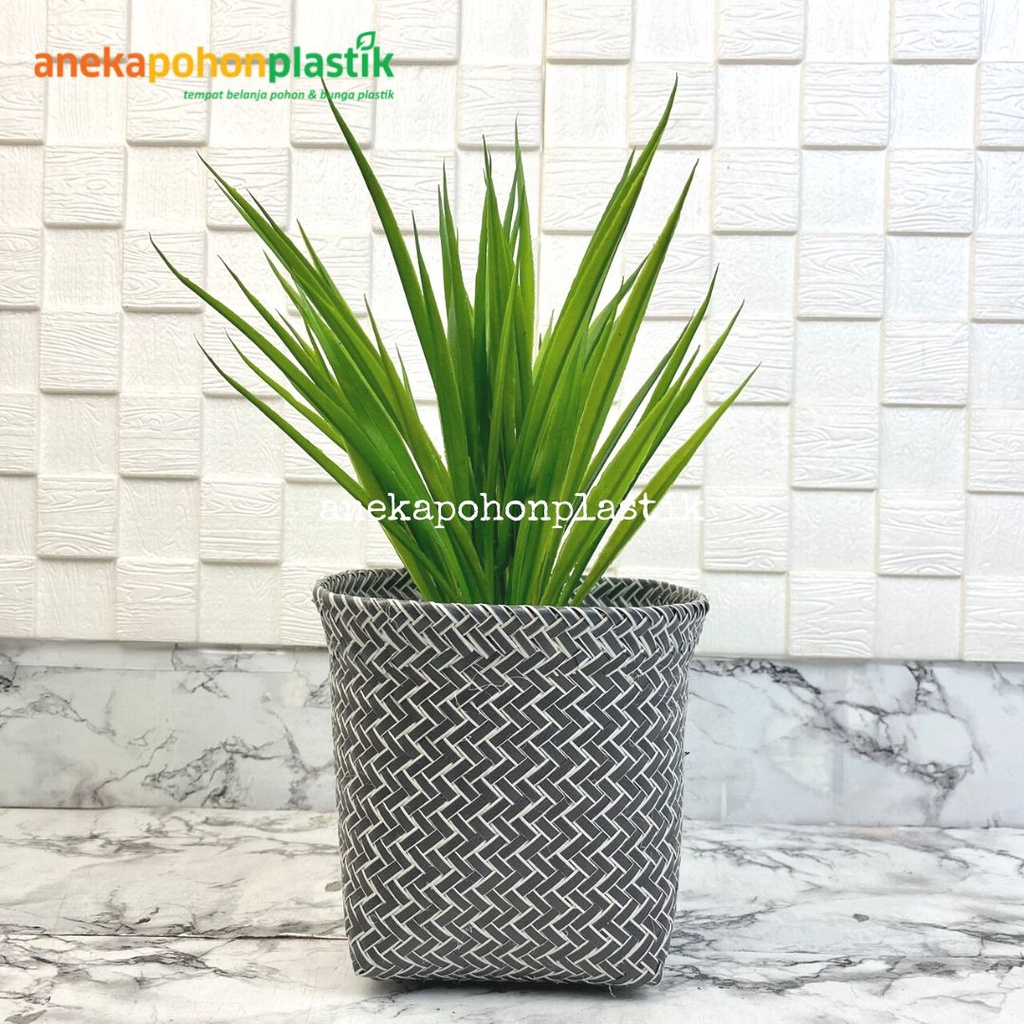 Jual Tanaman Hias Daun Kucai X1 Latex Artificial Pot Dasar Hitam ...