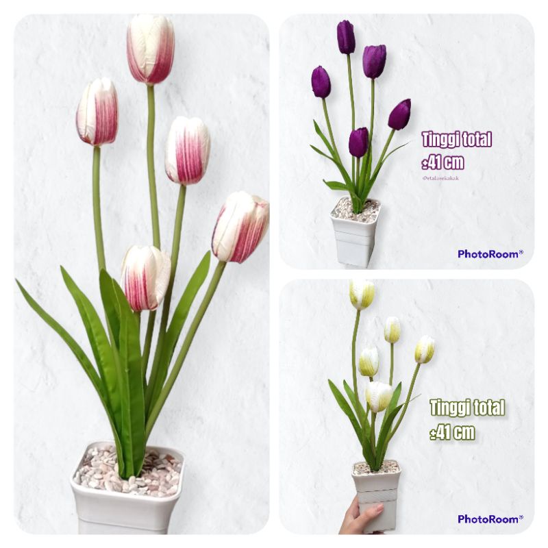 Jual RANGKAIAN BUKET BUNGA TULIP PALSU 5 TANGKAI POT KOTAK | Shopee ...