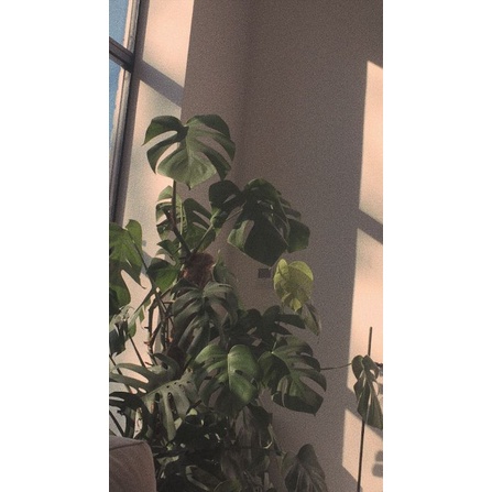 Jual Custom Door handle/ Handel Pintu Gerbang/ Handel Pintu Minimalis ...