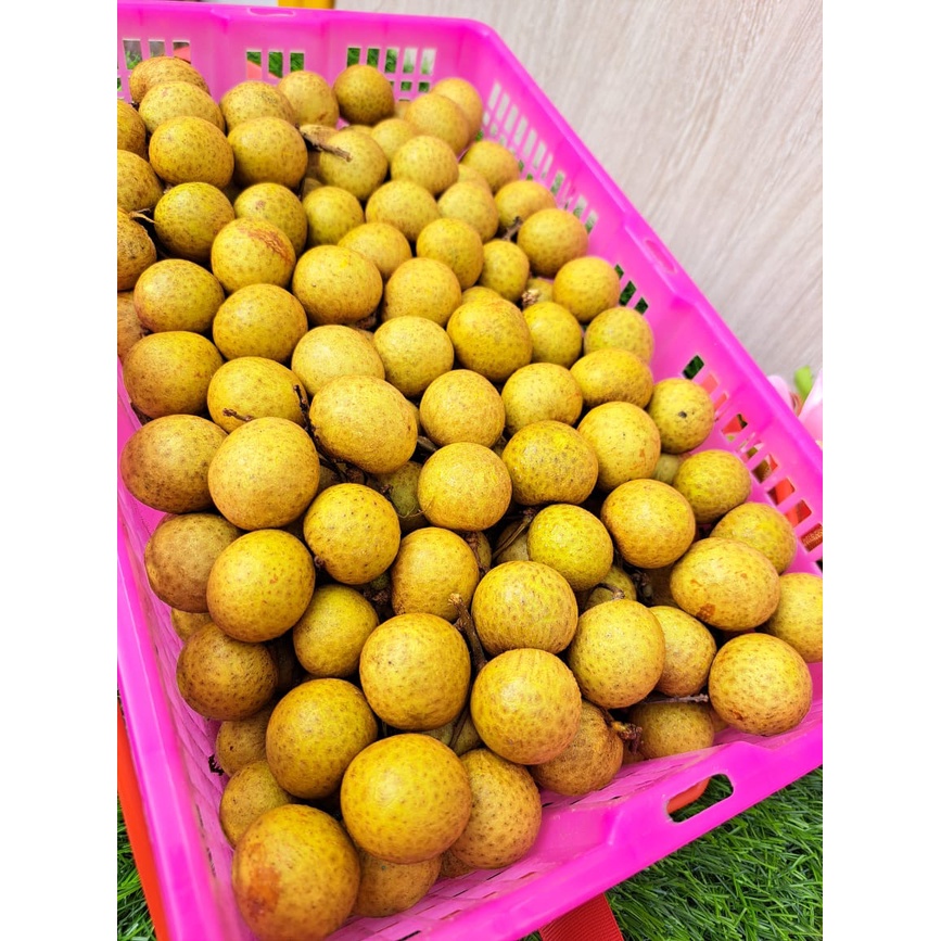 Jual Lengkeng Packaging Keranjang +-3kg | Shopee Indonesia