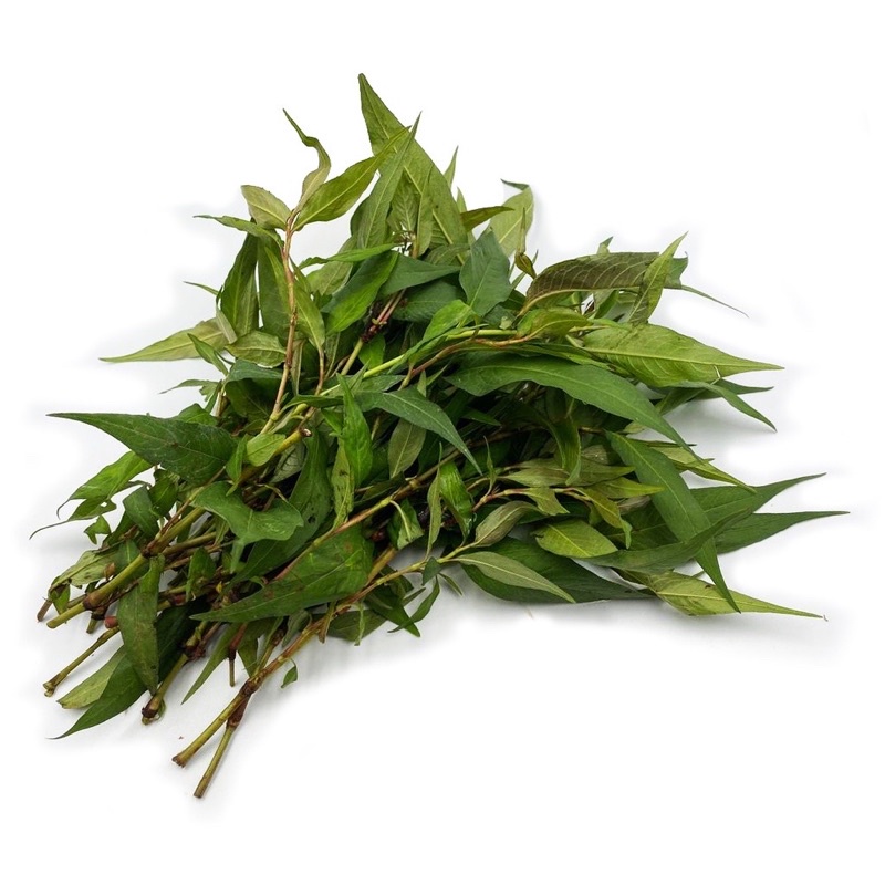Jual daun mint Vietnam/daun laksa/daun kesum fresh/segar baru petik ... Jual daun mint Vietnam/daun laksa/daun kesum fresh/segar baru petik ...