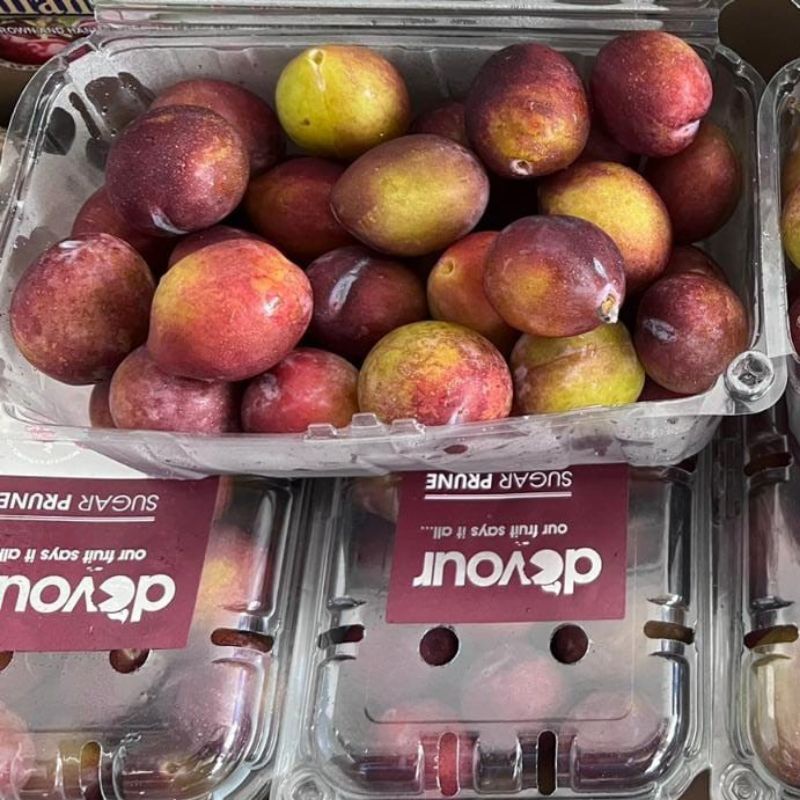 Jual Buah Sugar Prune / Sugar Plum - Manis, Juicy ( KHUSUS JAWA TIMUR ...