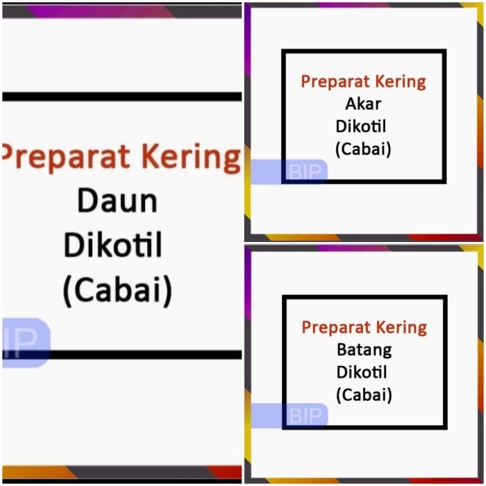 Jual PREPARAT KERING SET LENGKAP DIKOTIL/MONOKOTIL (CABAI/KANGKUNG ...