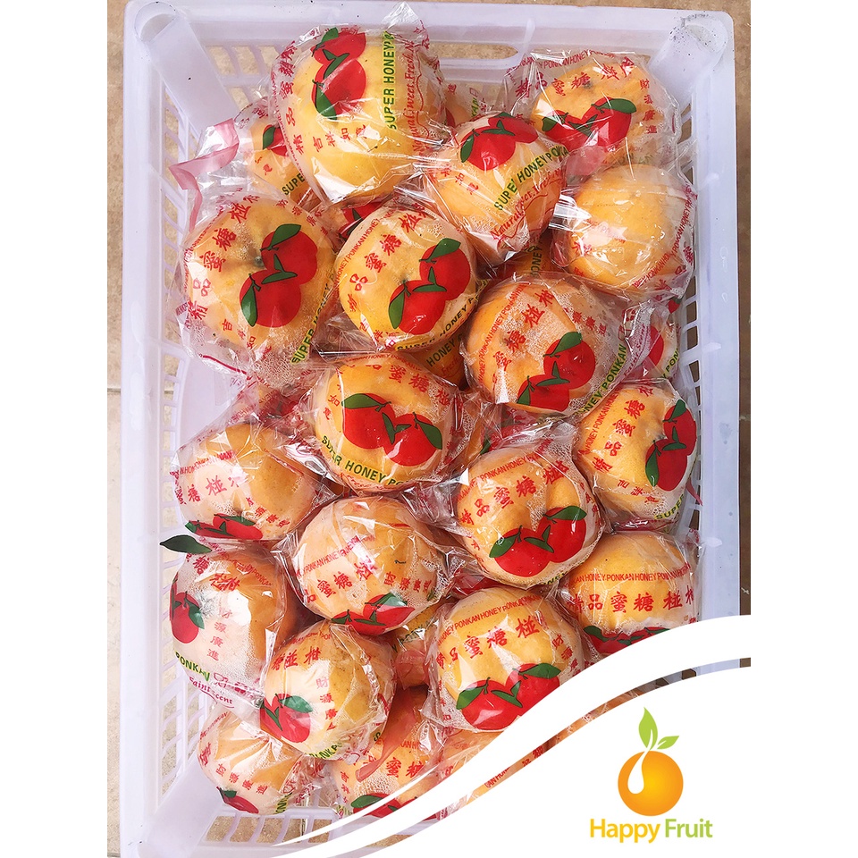 Jual BUAH JERUK MANDARIN PONKAM PREMIUM JERUK KUPAS IMPORT IMPOR 500gr ...