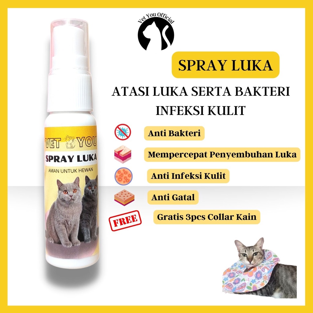 Jual Spray luka kucing - semprotan pengering luka borok koreng buduk ...