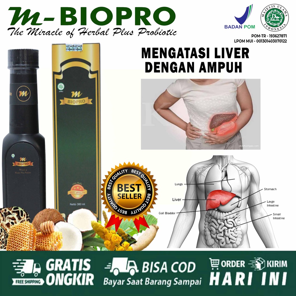 Jual Obat liver paling ampuh dan terpercaya, obat liver herbal paling ...