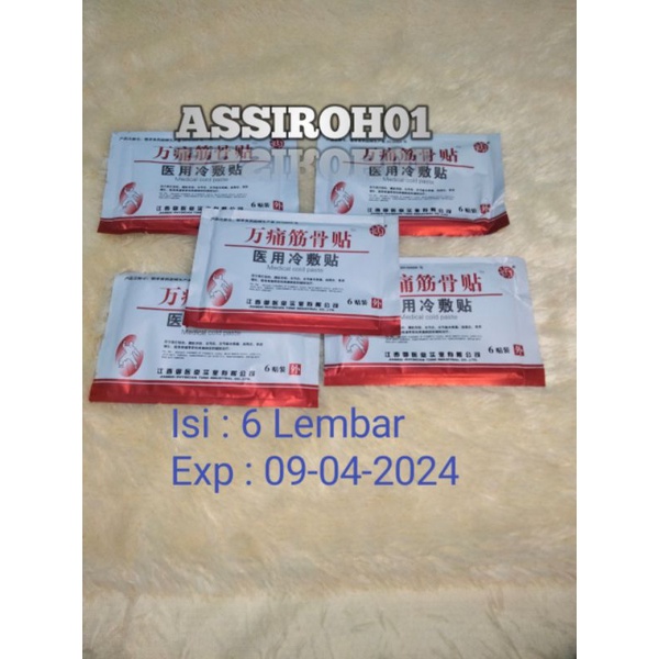 Jual KOYO MEDICAL COLD PLASTER ISI 6 LEMBAR | Shopee Indonesia