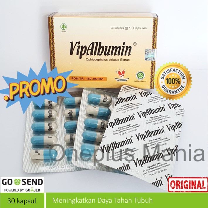 Jual VIPALBUMIN KAPSUL ISI 30 CAPS | Shopee Indonesia