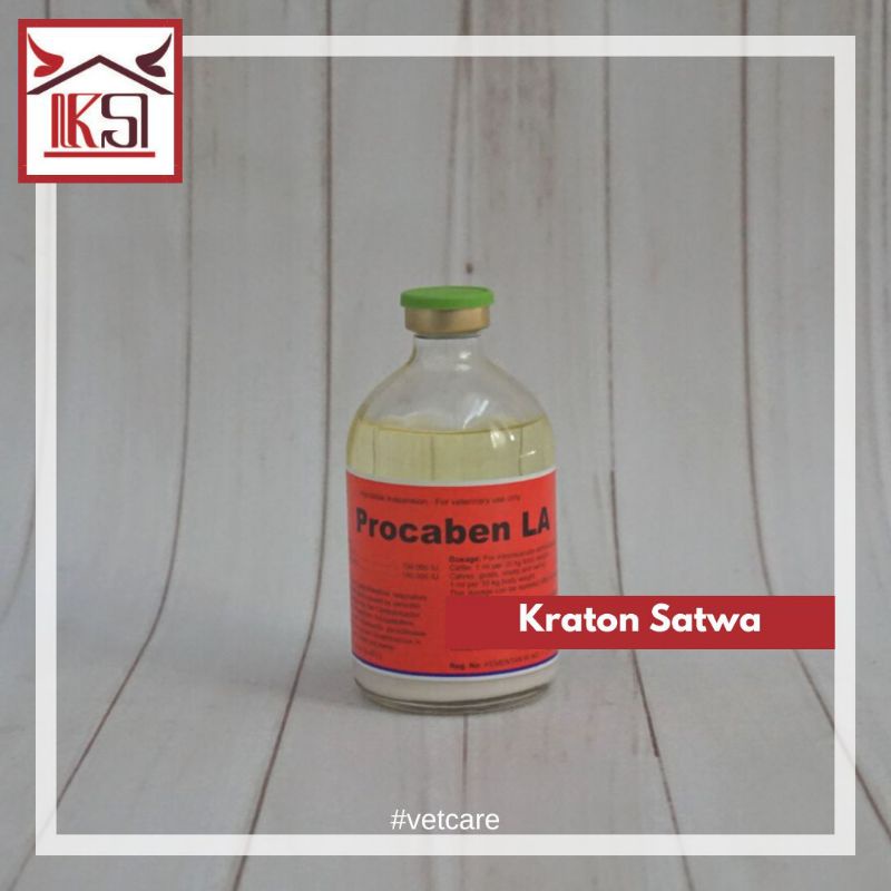 Jual Procaben LA pengganti Penstrep-400 100 ml | Shopee Indonesia