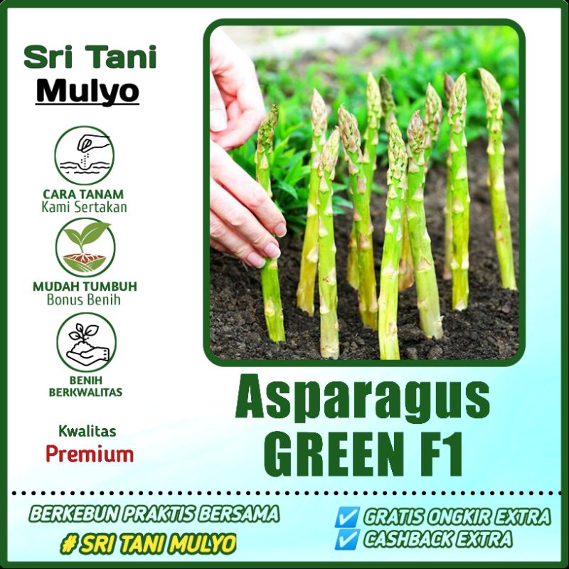 Jual Asparagus Terlengkap & Harga Terbaru Januari 2023 | Shopee Indonesia