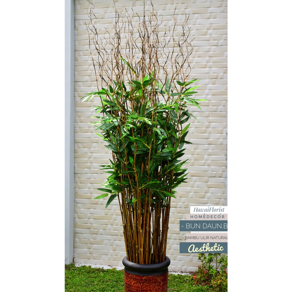 Jual Perlengkapan Rumah Bunga Dekorasi 10 Btg Pohon Bambu Ulir Natural ...