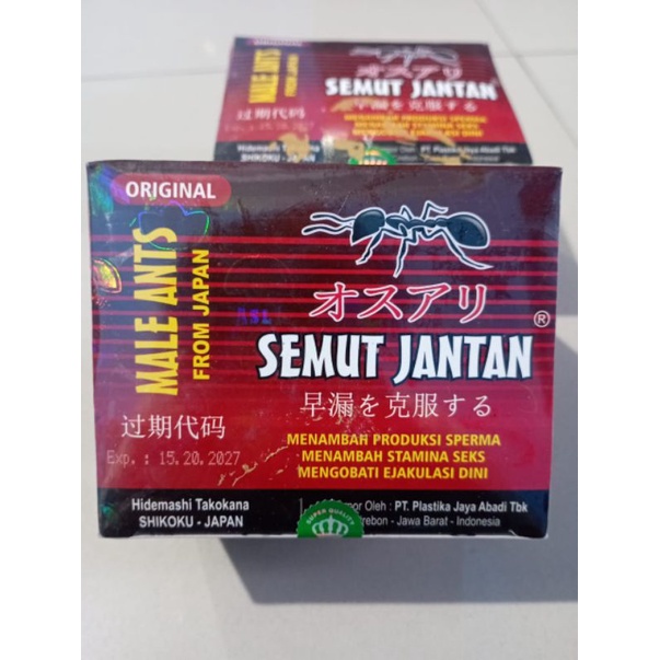 Jual SEMUT JANTAN KAPSUL ASLI-ORIGINAL | Shopee Indonesia