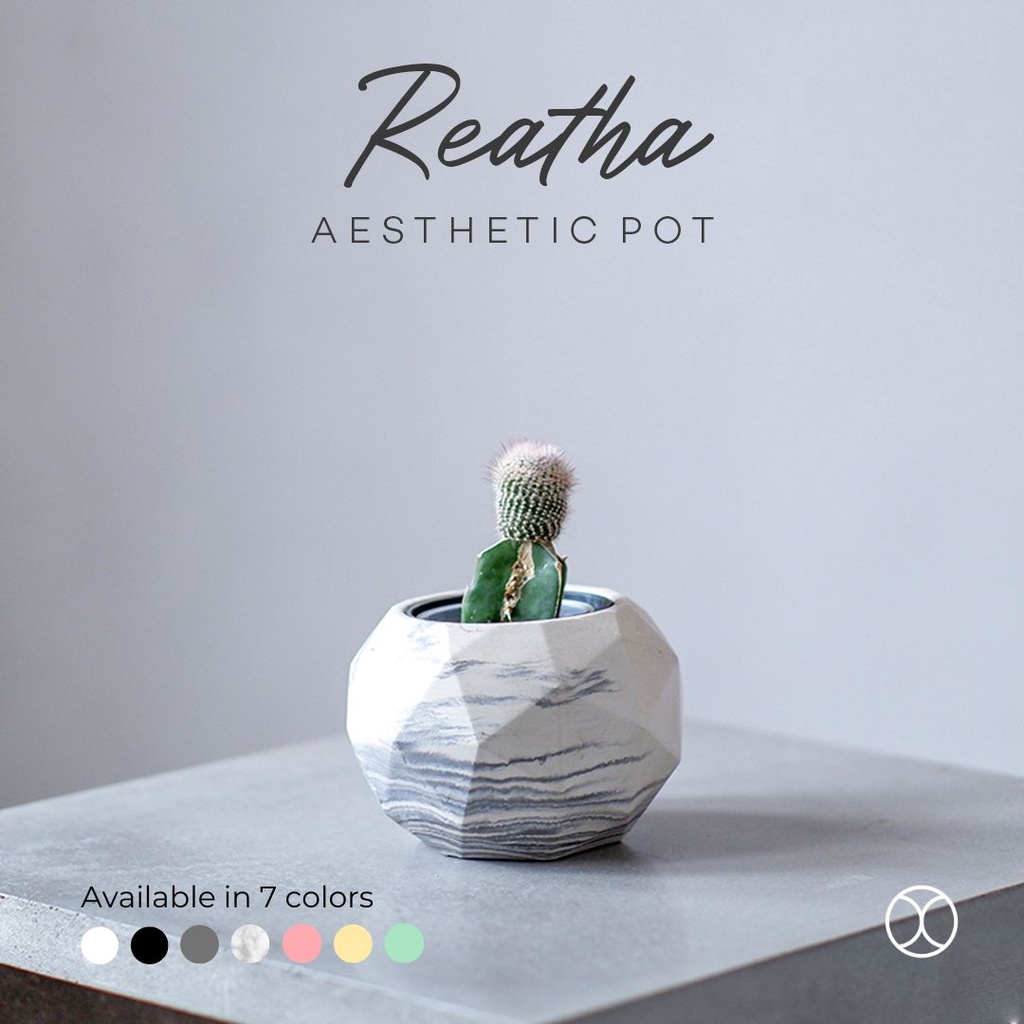 Jual CONCREATE LIVING Pot Kaktus 8 Cm Reatha Home Decor 8 Cm Pot ...